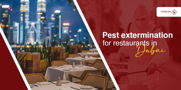 Pest Extermination for Restaurants in Dubai - Supreme PCS