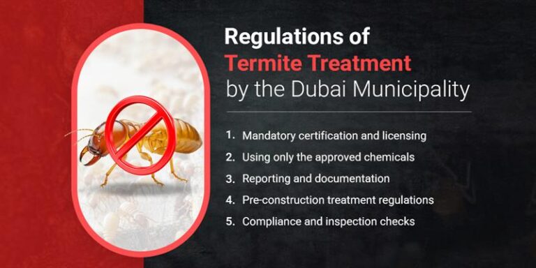 Complete Anti Termite Treatment Procedure in Dubai